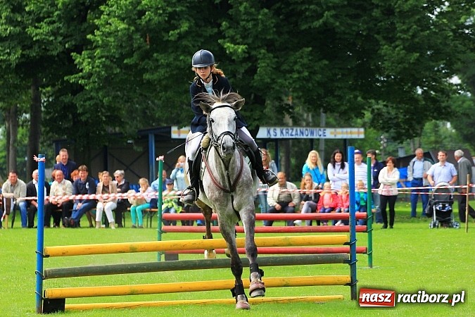 Potęga skoku, czyli Międzynarodowe Zawody Konne w skokach przez przeszkody